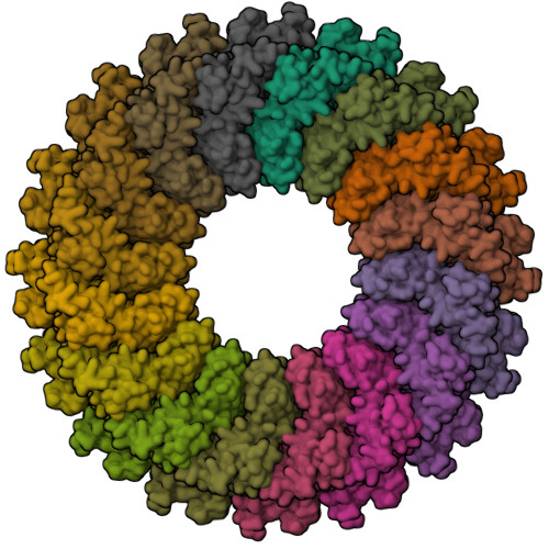 RCSB PDB - 8A1D: Structure of murine perforin-2 (Mpeg1) pore in ring form