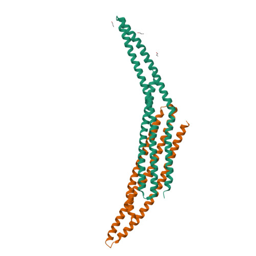RCSB PDB - 8A1G: Structure of the SNX1-SNX5 complex