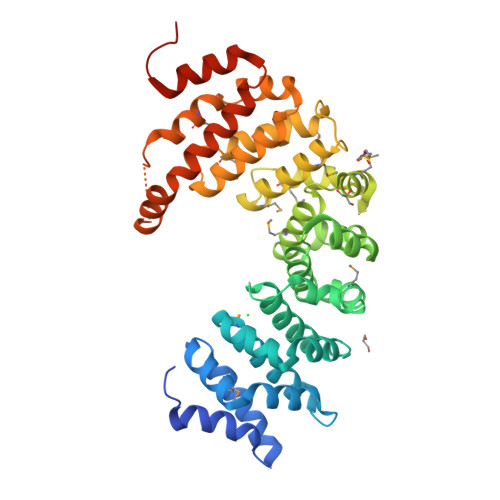 RCSB PDB - 8A1I: Crystal structure of murine Armc8 isoform beta