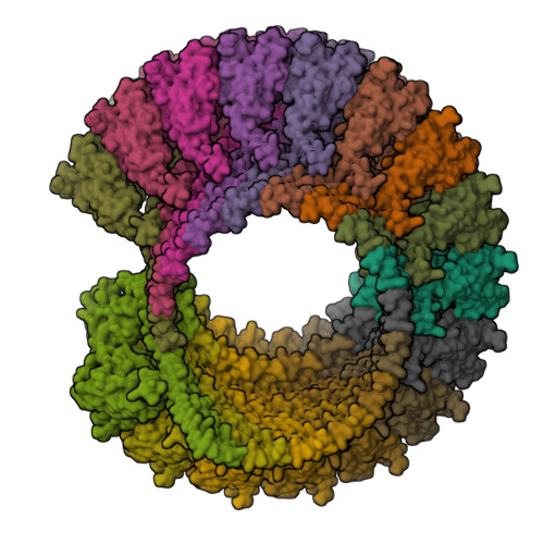 RCSB PDB - 8A1S: Structure of murine perforin-2 (Mpeg1) pore in twisted ...