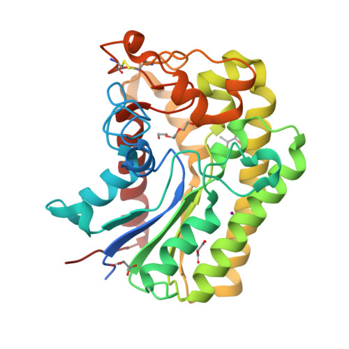RCSB PDB - 8A25: Lysophospholipase PlaA from Legionella pneumophila str ...