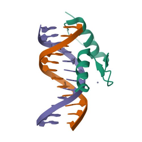 RCSB PDB - 8A4I: Crystal structure of SALL4 zinc finger cluster 4 with ...