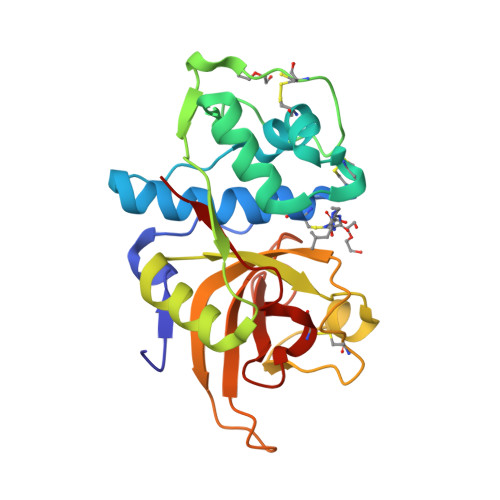 RCSB PDB - 8A4V: Crystal structure of human cathepsin L with covalently ...