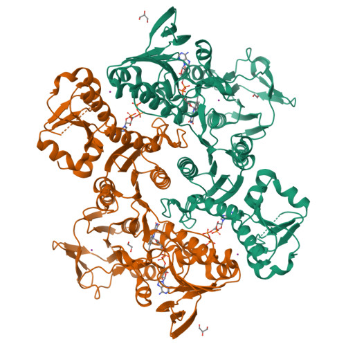 RCSB PDB - 8A56: Coenzyme A-persulfide reductase (CoAPR) from ...