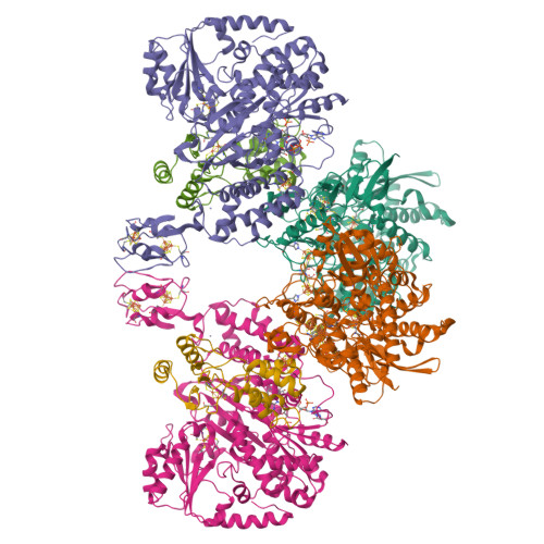 RCSB PDB - 8A6T: Cryo-EM structure of the electron bifurcating Fe-Fe ...