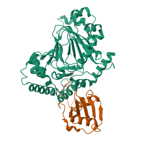 RCSB PDB - 8A82: Fe(II)/aKG-dependent halogenase OocPQ