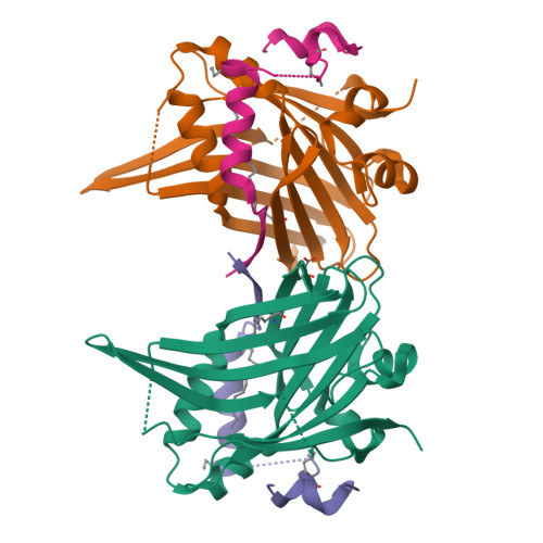 RCSB PDB - 8A8Q: Crystal structure of Protein Scalloped in complex with ...