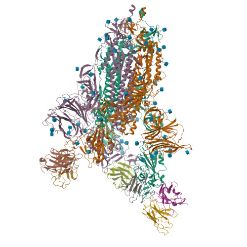 RCSB PDB - 8A95: SARS Cov2 Spike RBD in complex with Fab47