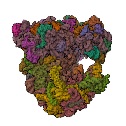 RCSB PDB - 8A98: CRYO-EM STRUCTURE OF LEISHMANIA MAJOR 80S RIBOSOME ...