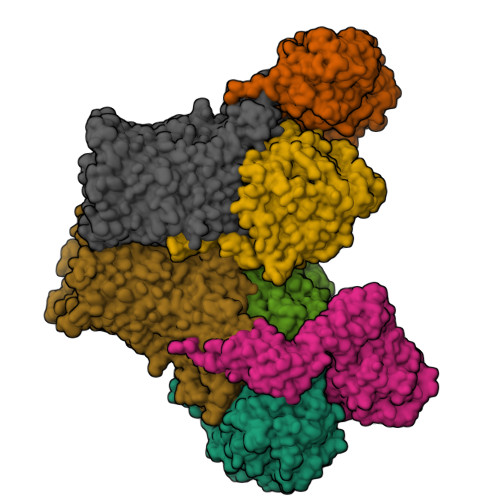 RCSB PDB - 8AA2: Inactive levan utilisation machinery (utilisome) in ...