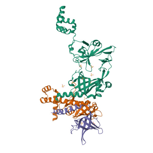 RCSB PDB - 8AAJ: Crystal structure of the Pyrococcus abyssi RPA (apo form)