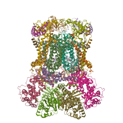 RCSB PDB - 8ABI: Complex III2 from Yarrowia lipolytica,antimycin A bound, int-position