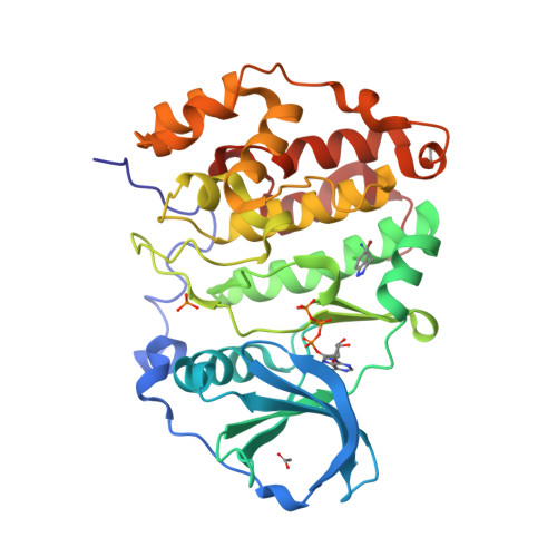 RCSB PDB - 8AEC: Structure of Compound 17 bound to CK2alpha