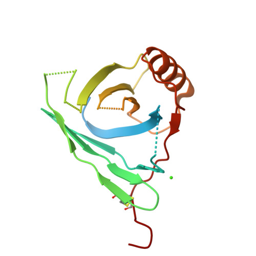 RCSB PDB - 8AEH: X-ray structure of Canis familiaris Odorant Binding ...