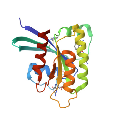 RCSB PDB - 8AFD: CRYSTAL STRUCTURE OF BIT-BLOCKED KRAS-G12V-S39C IN ...