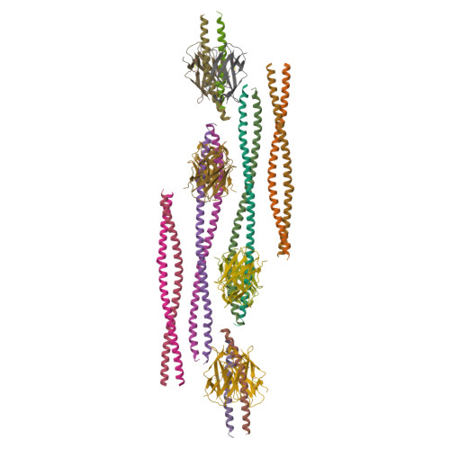RCSB PDB - 8AFH: Cryo-EM structure of crescentin filaments (stutter ...