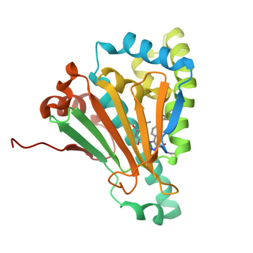 RCSB PDB - 8AGJ: Structure of human Heat shock protein 90-alpha N ...