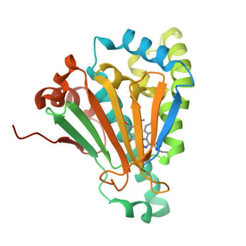 RCSB PDB - 8AGL: Structure of human Heat shock protein 90-alpha N ...