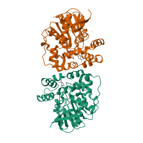 RCSB PDB - 8AGM: Limonene epoxide low pH soak of epoxide hydrolase from ...