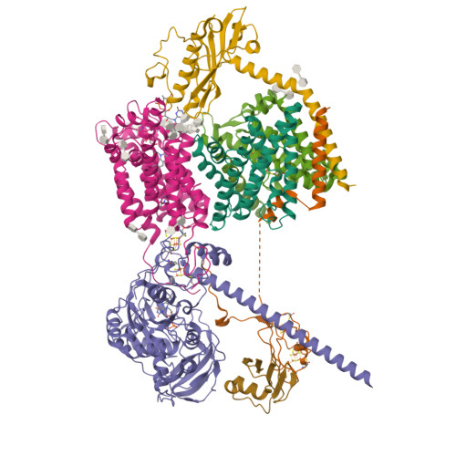 RCSB PDB - 8AHX: Cryo-EM structure of the nitrogen-fixation associated ...