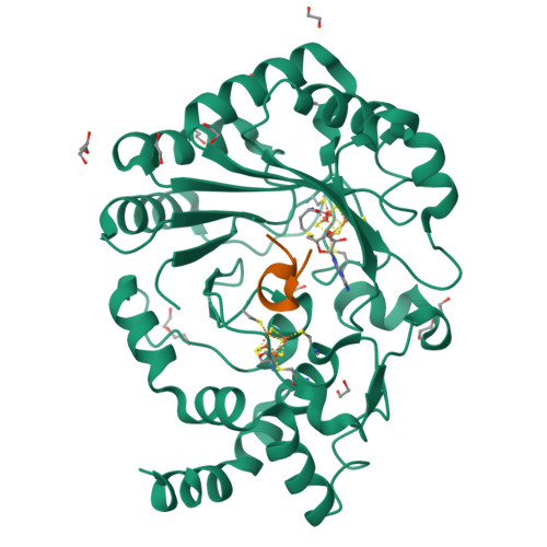 RCSB PDB - 8AI4: Crystal structure of radical SAM epimerase EpeE C223A ...