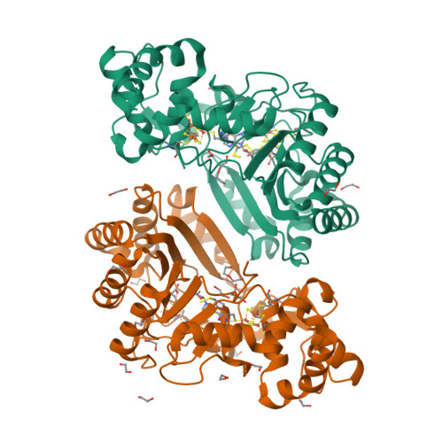 RCSB PDB - 8AI6: Crystal structure of radical SAM epimerase EpeE D210A ...
