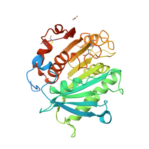 RCSB PDB - 8AIS: Crystal structure of cutinase PsCut from Pseudomonas ...