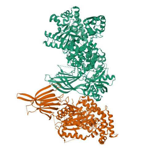 RCSB PDB - 8AJ8: Structure of p110 gamma bound to the p84 regulatory ...
