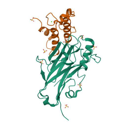 RCSB PDB - 8AJY: Ruminococcus flavefaciens Cohesin-Dockerin structure ...