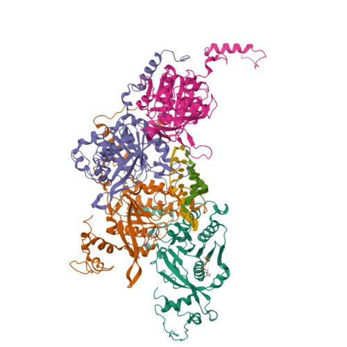 RCSB PDB - 8AMF: Cryo-EM structure of the RecA postsynaptic filament ...
