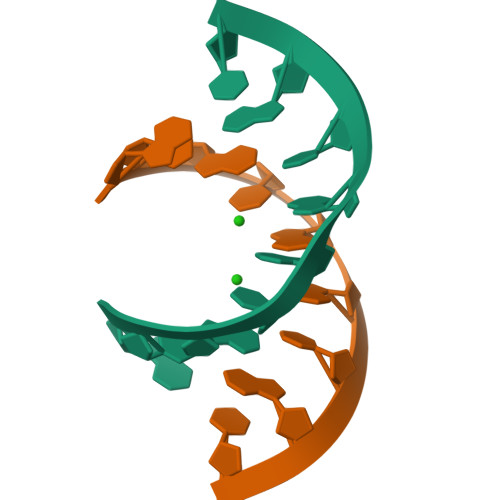 RCSB PDB - 8AMG: Crystal structure of AUGUGGCAU duplex with barium ions ...