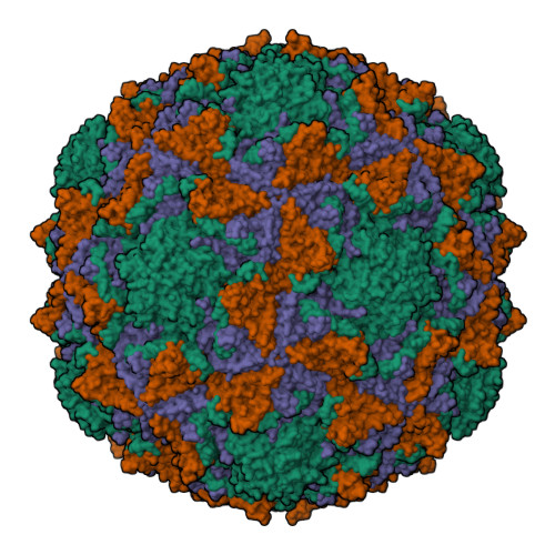 RCSB PDB - 8ANW: Poliovirus type 3 (strain Saukett) stabilised virus ...