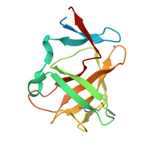 RCSB PDB - 8AOQ: Cereblon isoform 4 from Magnetospirillum ...