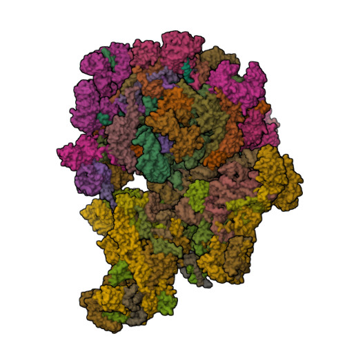 RCSB PDB - 8APN: Structure of the mitochondrial ribosome from ...