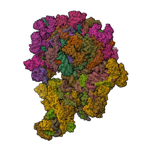 RCSB PDB - 8APO: Structure of the mitochondrial ribosome from ...
