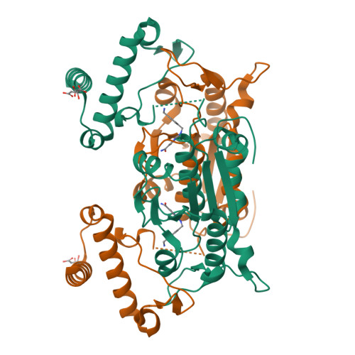 RCSB PDB - 8APU: Crystal Structure of H. influenzae TrmD in complex ...