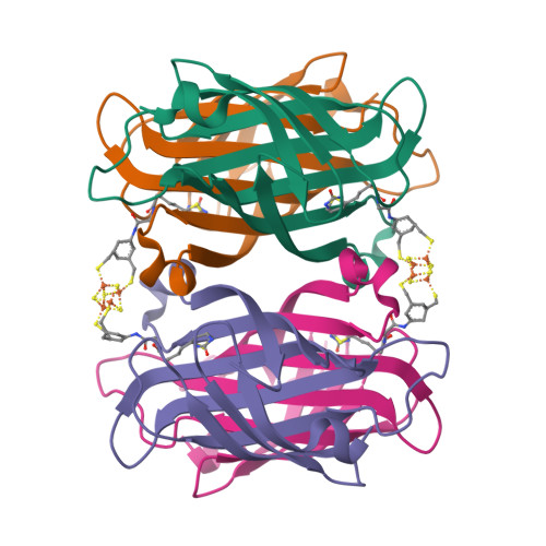 RCSB PDB - 8AQO: Streptavidin with a bisbiothinilated Fe4S4 cluster
