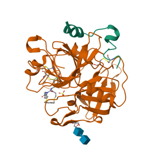 RCSB PDB - 8ASE: Crystal structure of Thrombin in complex with ...
