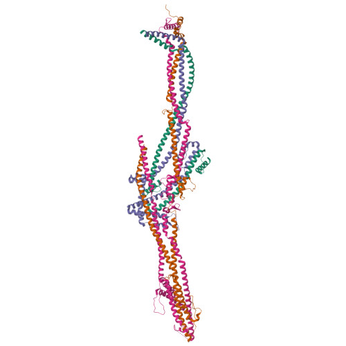 RCSB PDB - 8AT2: Structure of the augmin TIII subcomplex