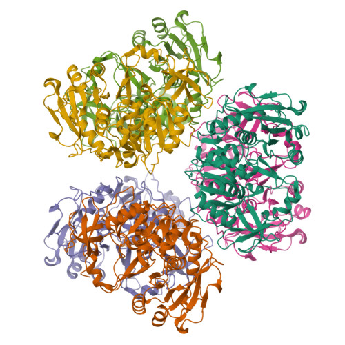 Rcsb Pdb 8atd Wild Type Hexamer Oxalyl Coa Synthetase Ocs