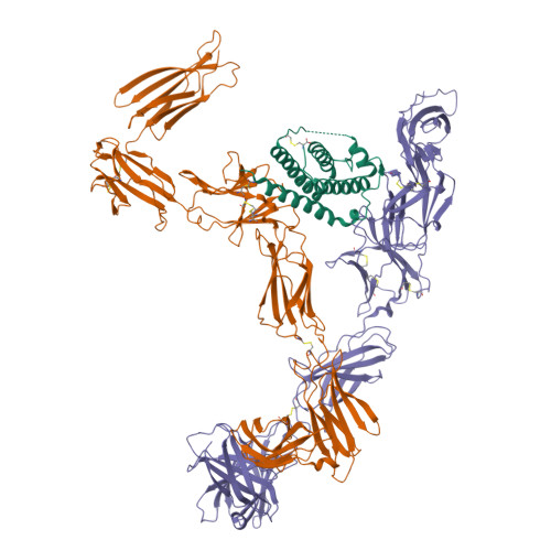 RCSB PDB - 8AVB: Cryo-EM structure for mouse leptin in complex with the ...