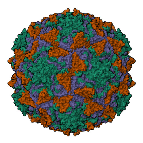 RCSB PDB - 8AYY: Poliovirus type 3 (strain Saukett) stabilised virus ...