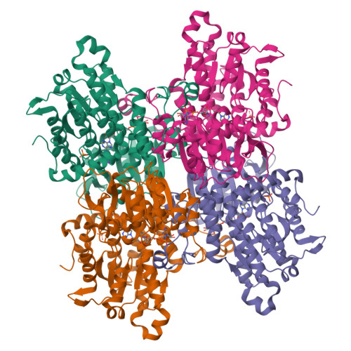 RCSB PDB - 8AZF: Crystal structure of K449E variant of S-adenosyl-L ...