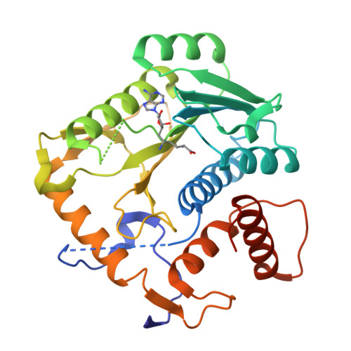 RCSB PDB - 8B07: Crystal structure of monkeypox virus methyltransferase ...