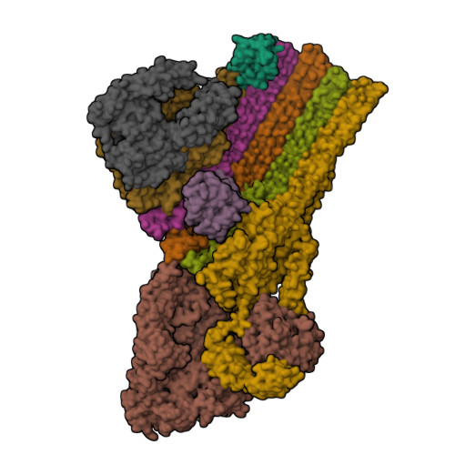 RCSB PDB - 8B0H: 2C9, C5b9-CD59 cryoEM structure