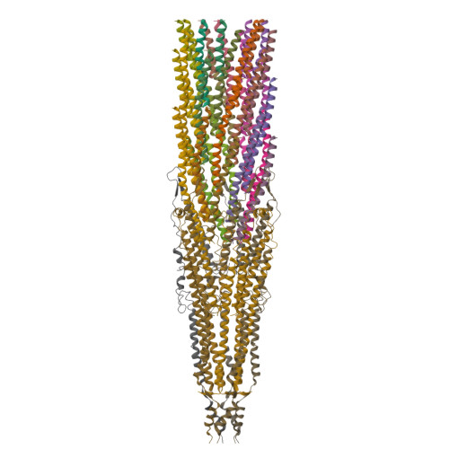 RCSB PDB - 8B3O: CryoEM structure of the pointy tip (proteins pIII/pVI ...