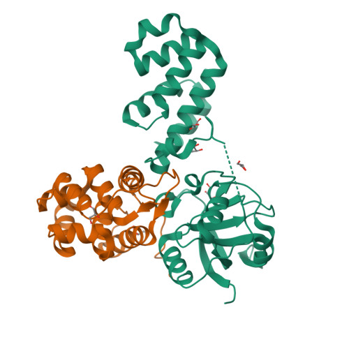 RCSB PDB - 8B3S: Structure of YjbA in complex with ClpC N-terminal Domain