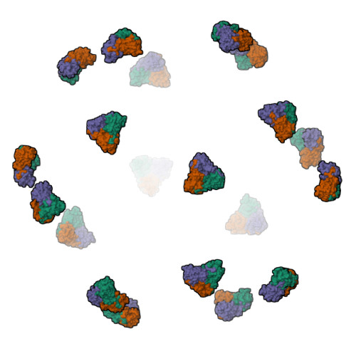 RCSB PDB - 8B59: Rosellinia necatrix megabirnavirus 1-W779 Crown protein