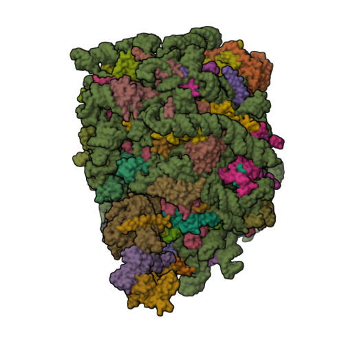 RCSB PDB - 8B5L: Cryo-EM structure of ribosome-Sec61-TRAP (TRanslocon ...