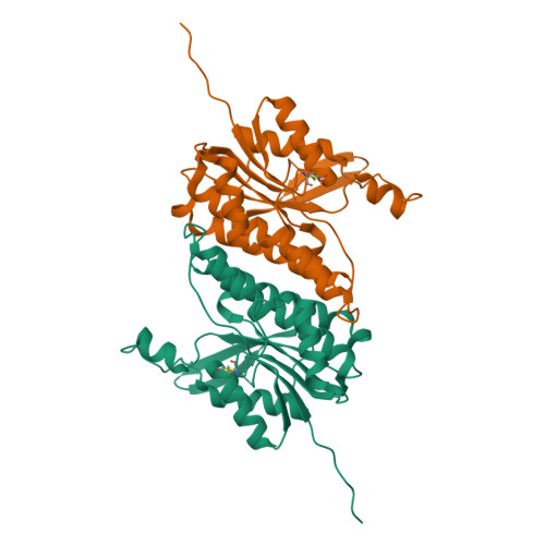 RCSB PDB - 8B5U: Crystal structure of Quinonoid dihydropteridine ...
